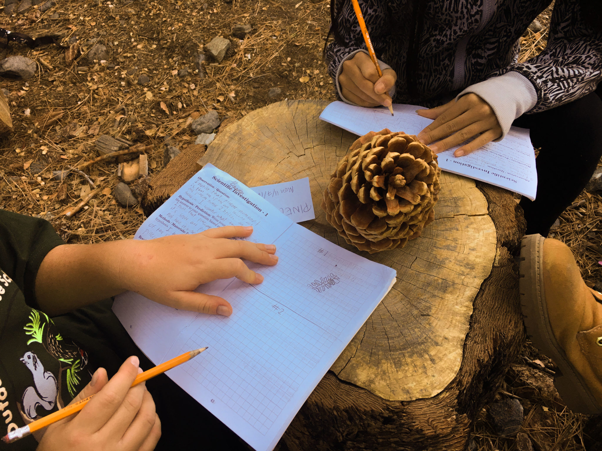 Outside Insight: Creating Outdoor Learning Environments that Work ...