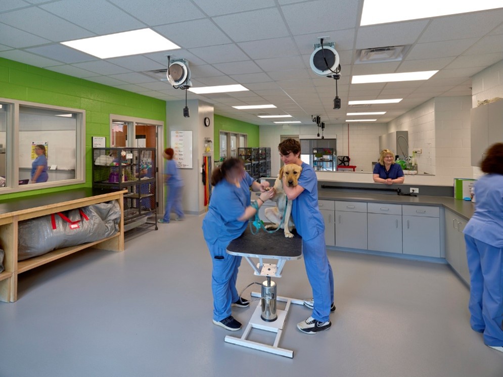 Beyond “Vo‑Tech”: Designing CTE as the Engine of Regional Opportunity ...